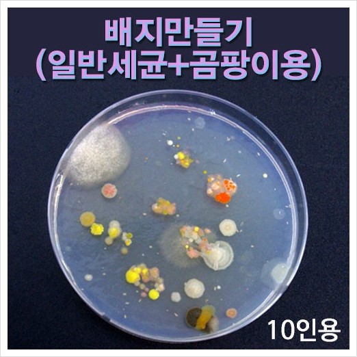 배지 일반세균 곰팡이 배지세균 배지곰팡이 한천가루 실험키트 용액실험 만들기 교구 키트 스팀사이언스스팀과학