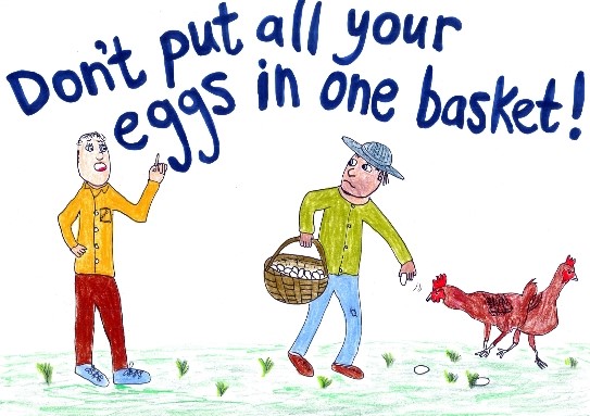 “Don’t put all your eggs in one basket” : 네이버 블로그