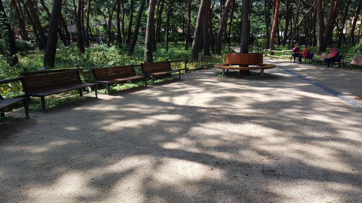 공중위생관리법위반 성매매 장소 제공으로 인한 모텔 영업정지 행정처분 네이버 블로그