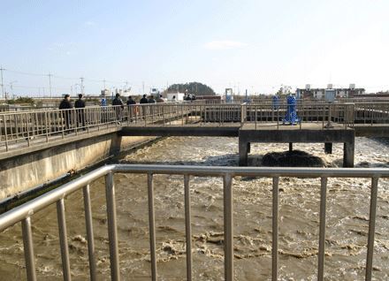 환경공학 슬러지팽화(Sludge bulking)현상 : 네이버 블로그