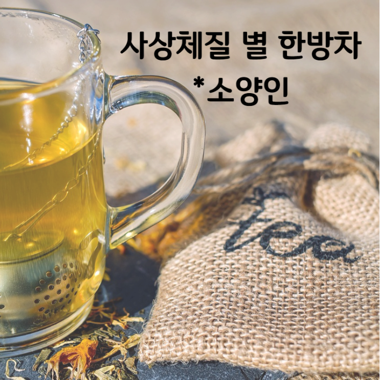 사상체질과 한방차 소양인 네이버 블로그