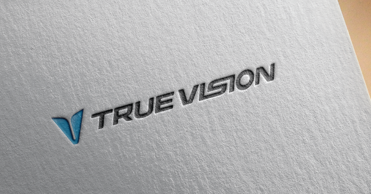 True Vision CI Design : 네이버 블로그