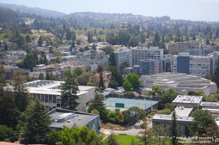 [샌프란시스코 근교여행] 버클리대학교(UC Berkeley) 둘러보기! : 네이버 블로그