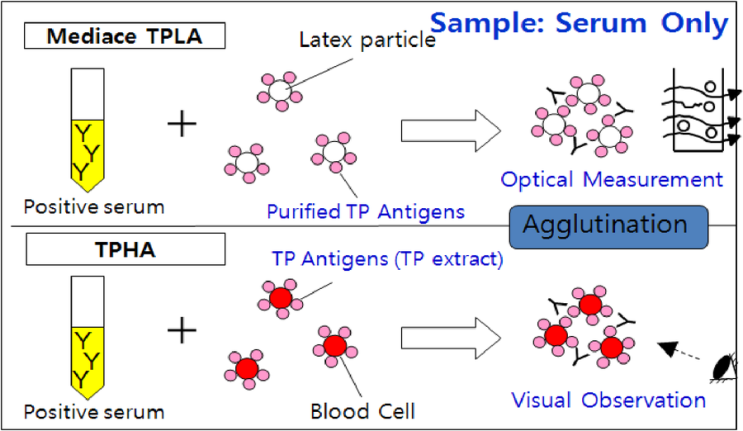 TPLA 정밀검사 : 네이버 블로그