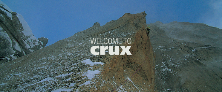 CRUX 소개 : 네이버 블로그