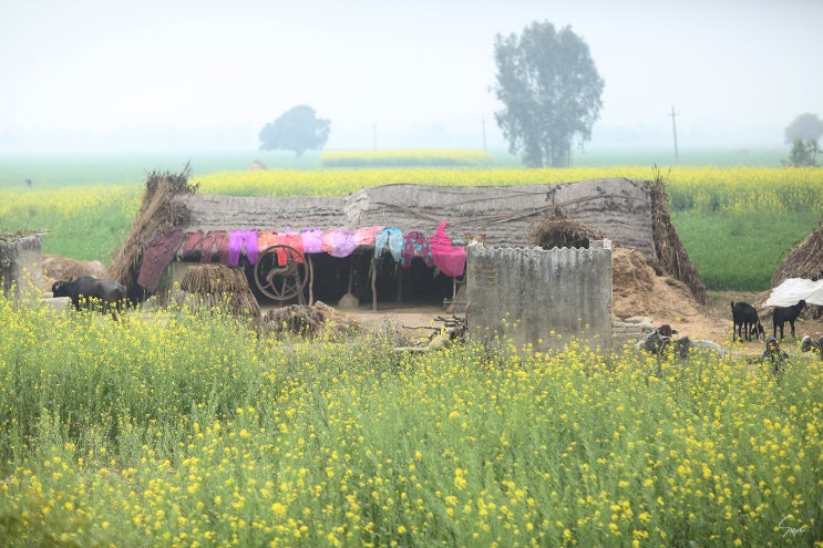 [법륜스님의 희망편지] 종노릇하지 마세요 : 네이버 블로그