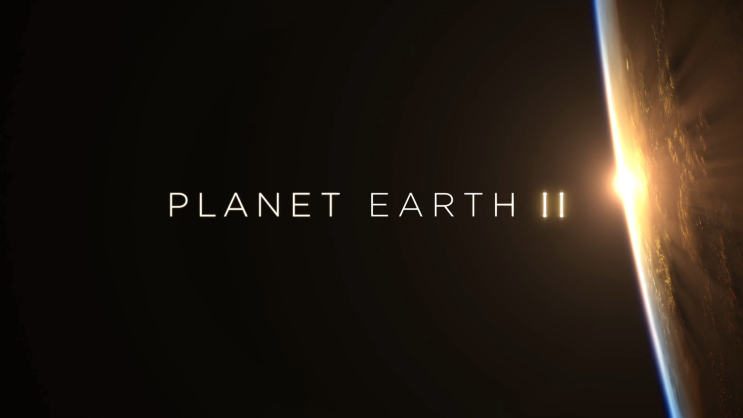 BBC Planet Earth II - 전편 Torrnet : 네이버 블로그