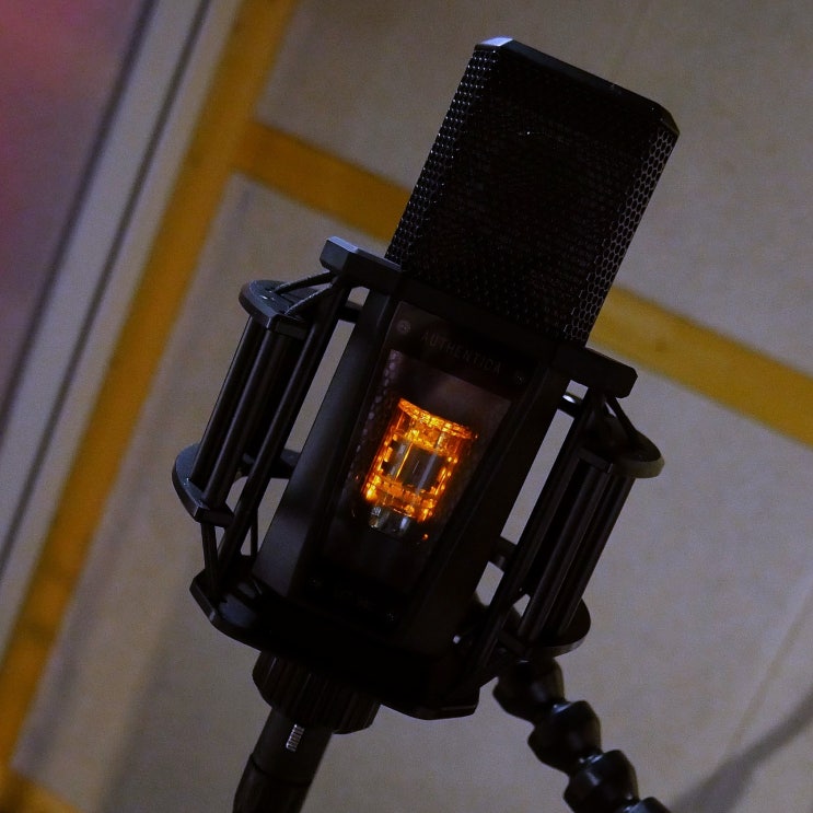 [음악장비]르윗(Lewitt)LCT-940 진공관 마이크 / 개봉기 및 후기 : 네이버 블로그