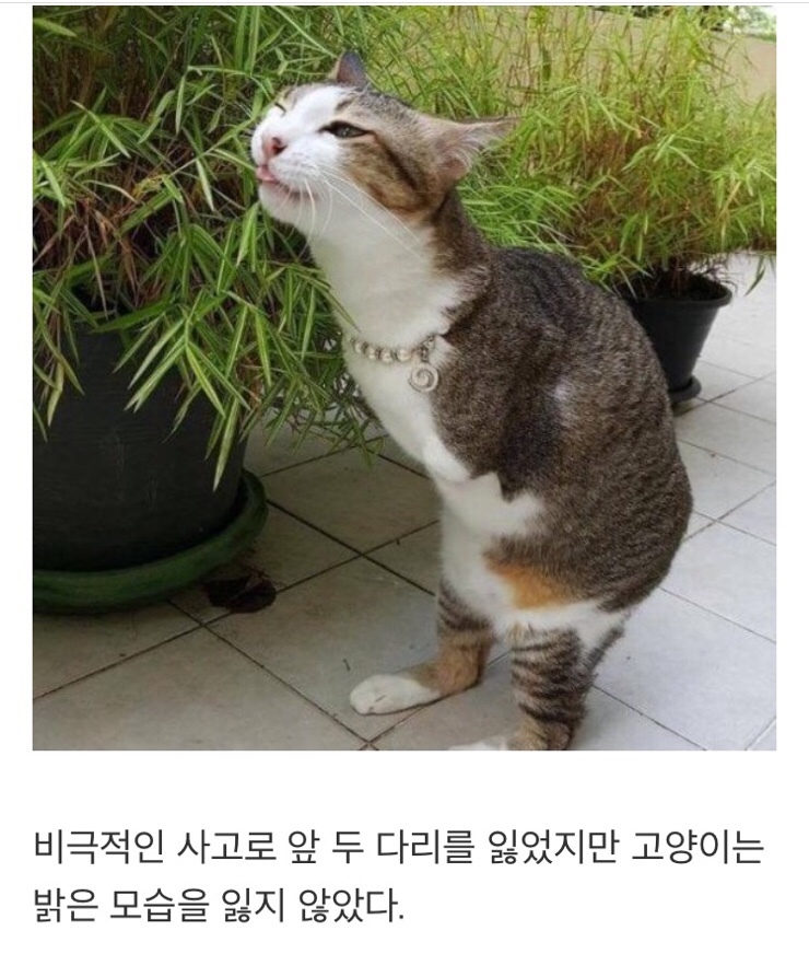 감동을 주는 그림 : 네이버 블로그