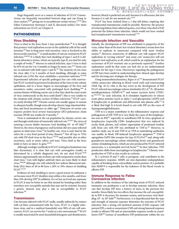Infection Disease of Dog and Cat - 고양이 전염성 복막염(FIP) by Dr. Diane D ...