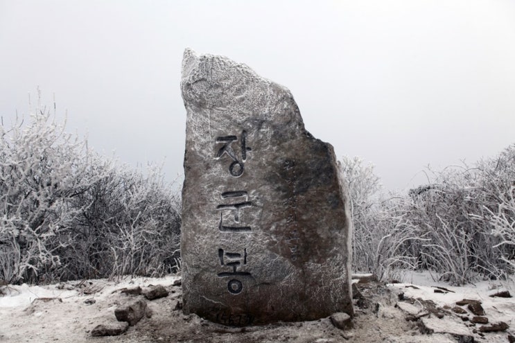 눈꽃이 아름다운 겨울 태백산등산코스유일사 장군봉 천제단 망경사 당골 네이버 블로그