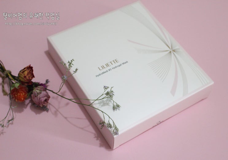 겨울철 피부관리는 수분 마스크팩으로 클리어 웅진릴리에뜨 하이드로메디 B5 하이드로겔 마스크 네이버 블로그