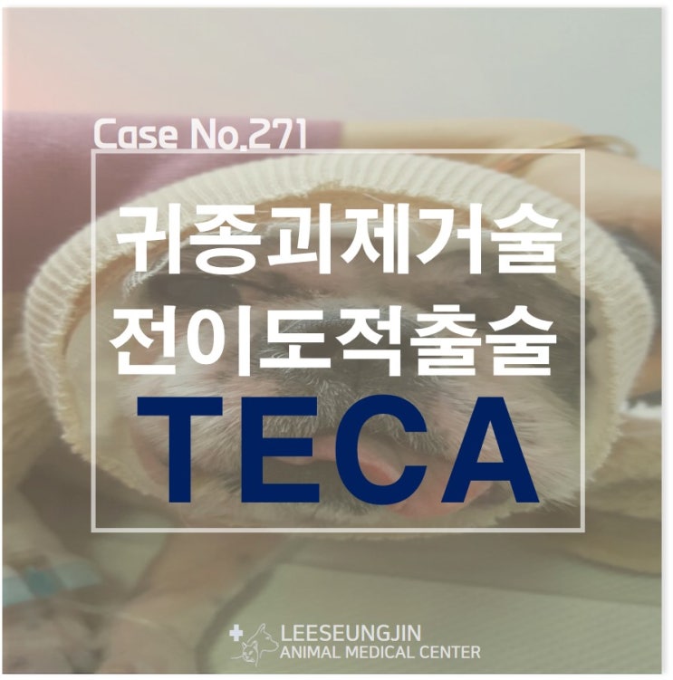 No.271 귀종괴제거술, 전이도적출술(TECA) : 네이버 블로그