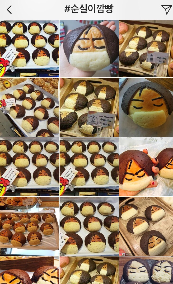 대구 순실이깜빵 파파빵에 판대용 ㅋㅋㅋㅋ : 네이버 블로그