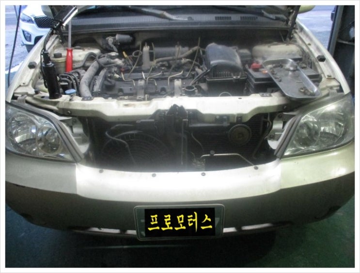 카니발시동지연 카니발시동불량 디젤차량시동지연 가속시울컥거림 언덕길에서힘이없음 가속시출력부족 신호대기중엔진찜바 기어