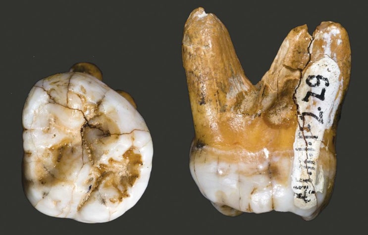 "Arctic Inuit, Native American cold adaptations may originate from ...