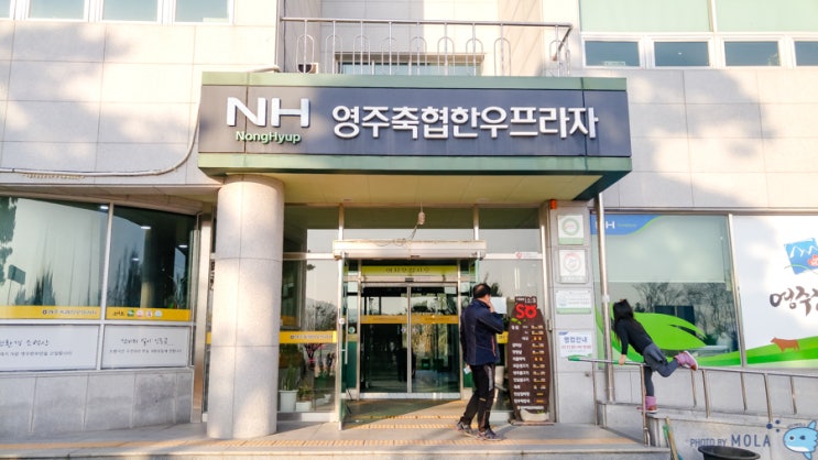 경북영주풍기읍 맛집 저렴한 가격에 먹는 한우집 영주축협한우프라자 네이버 블로그