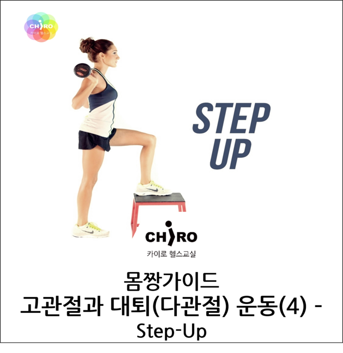 영등포pt 카이로 헬스교실 몸짱가이드 고관절과 대퇴다관절 운동4 스텝 업step Up 네이버 블로그