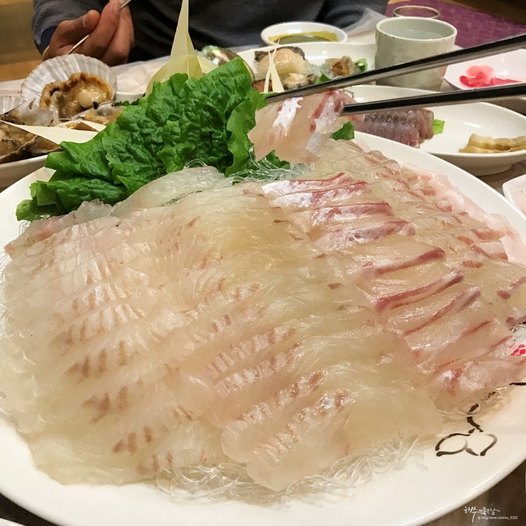 목포 평화광장 바다회센타 목포 횟집추천 평화광장 횟집 가족모임 단체 모임으로 딱~ 네이버 블로그