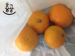 [일본워홀/후쿠오카 워킹홀리데이] Day 113. 건강은 중요한것 : 네이버 블로그