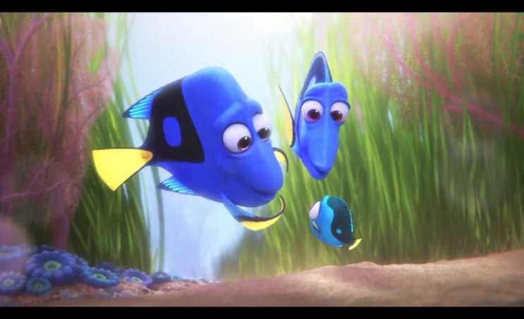 도리를 찾아서 (Finding Dory, 2016) : 네이버 블로그