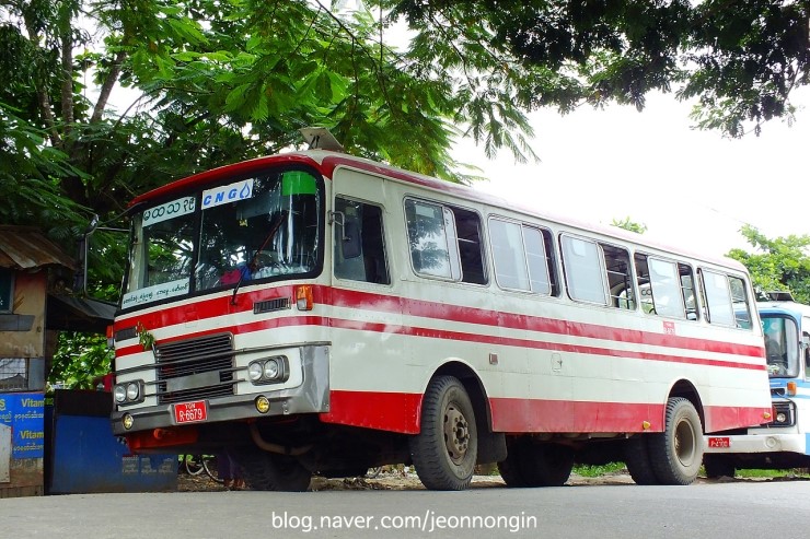 미얀마로 건너간 새한 BF101ㅡ라솔님의 리뷰입니당~ : 네이버 블로그