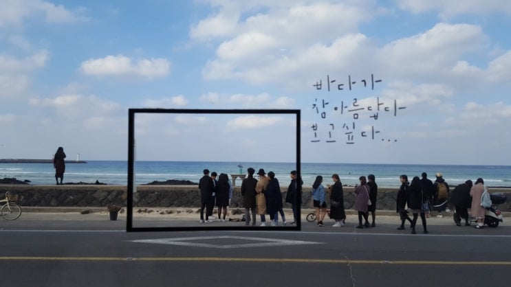 제주도 렌트카 가격싼곳 견적비교할땐 아일랜드투어~♥ : 네이버 블로그