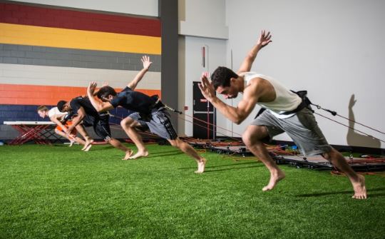 (NASM-CPT)SAQ(Speed,Agility,Quickness:속도,민첩성,순발력)트레이닝의 모든것 : 네이버 블로그