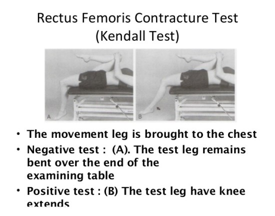 켄달 테스트(Kendall test) : 대퇴직근의 단축을 조사하는 테스트 : 네이버 블로그