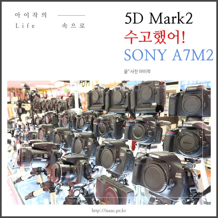 중고카메라매입 캐논 5D mark2 떠나보냄 : 네이버 블로그