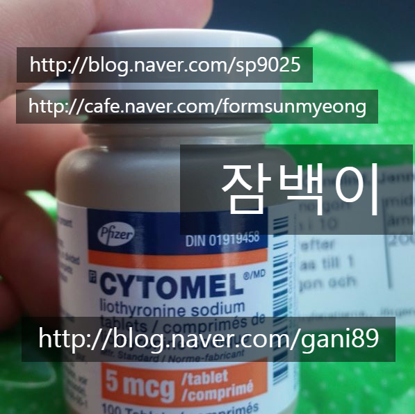 Cytomel, T3(Liothyronine Sodium)의 모든 것 by 잠백이 : 네이버 블로그
