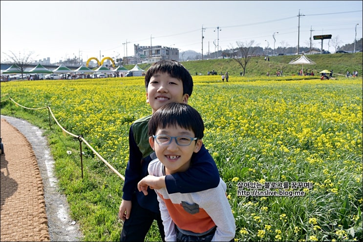 광주 근교 나들이 나주 유채꽃 구경하기 좋은 영산강체육공원 네이버 블로그