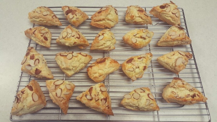 전주수제쿠키전문점 로코쿠키 [아몬드스콘] : 네이버 블로그