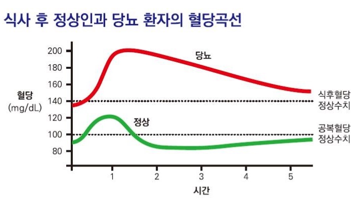 식사 후 정상인과 당뇨 환자의 혈당곡선 네이버 블로그