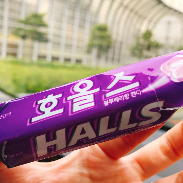 [GS25편의점/지에스신상추천] 호올스 블루베리향 캔디 Halls Blueberry Flavored Candy, 텁텁한 입 속에 ...