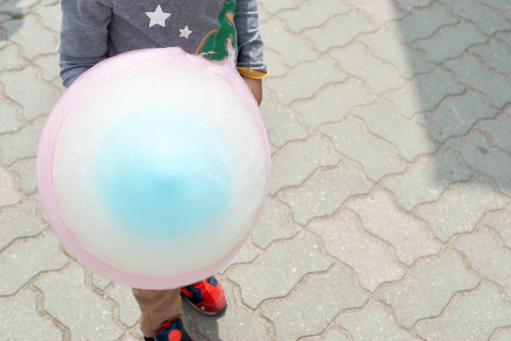 D+1581, 우리 은환이의 첫 솜사탕 (대전세천유원지) : 네이버 블로그