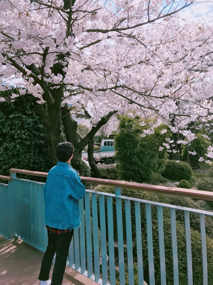 캠퍼스의 봄에풍경 : 네이버 블로그