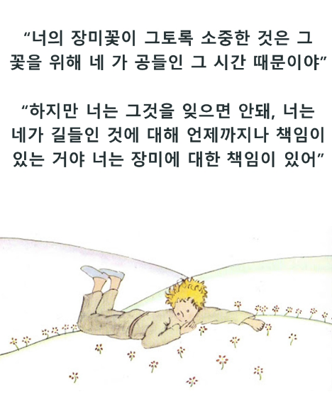 어린왕자 명대사 너는 장미에 대한 책임이 있어 네이버 블로그