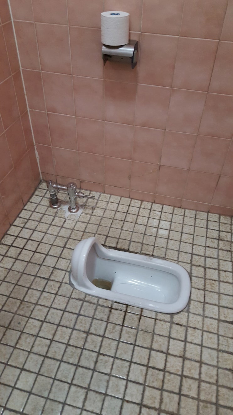 쪼그려앉는 화변기 철거 후 수세식양변기 설치 강남구 개포동 ㅇㅇ빌딩 공용화장실 네이버 블로그