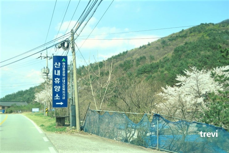 현대중공업 경주 산내휴양소 네이버 블로그