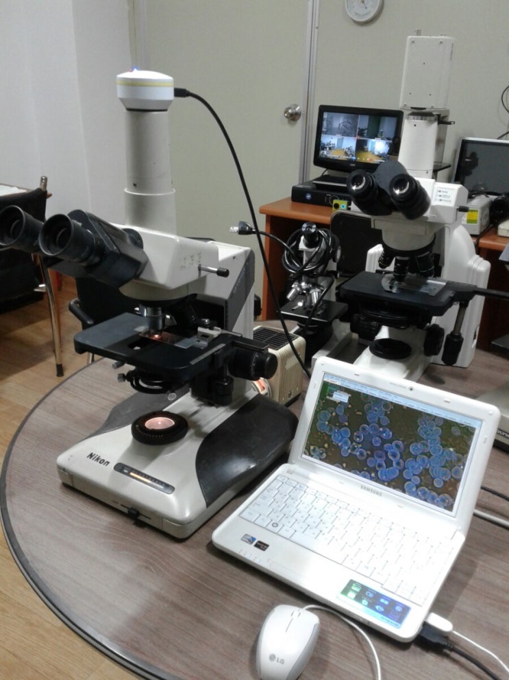 NIKON OPTIPHOT-2 TRINOCULAR RBC.WBC MICROSCOPE.혈액관찰 니콘현미경. : 네이버 블로그
