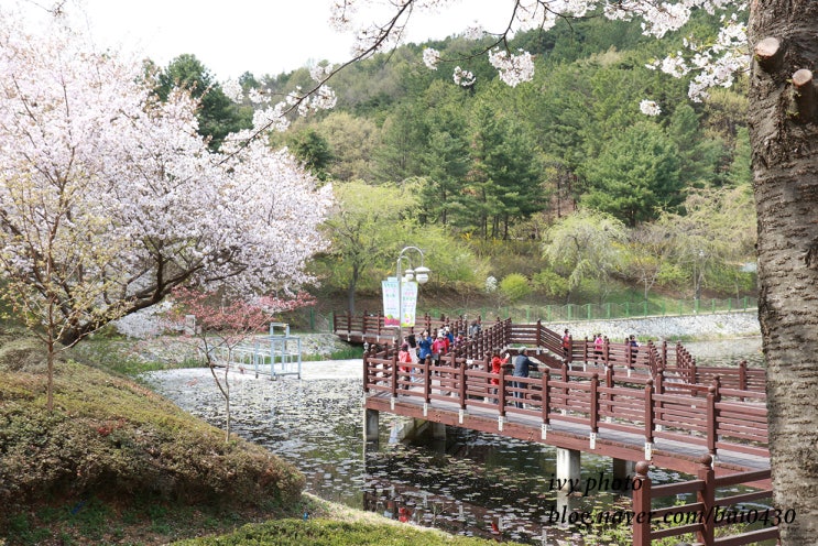 청주 가볼만한곳 청남대 : 네이버 블로그