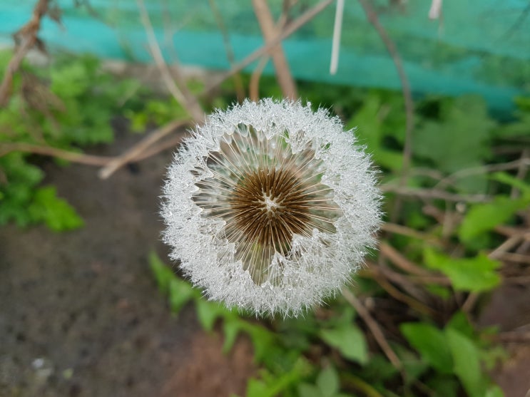 이별노래 : 네이버 블로그