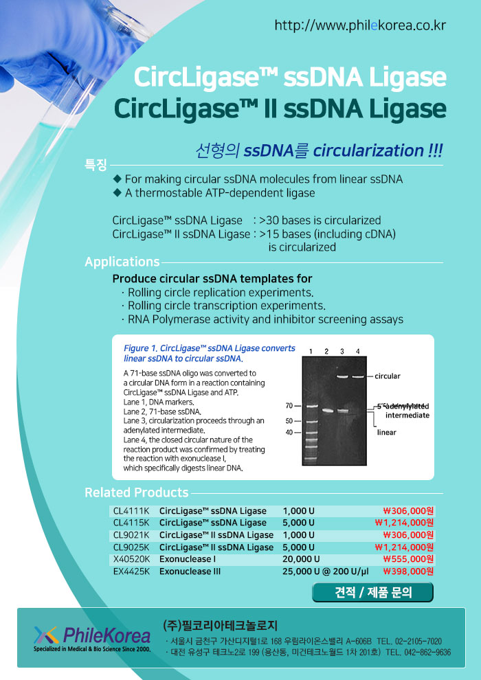 CircLigase™ ssDNA Ligase / II ssDNA Ligase : 네이버 블로그