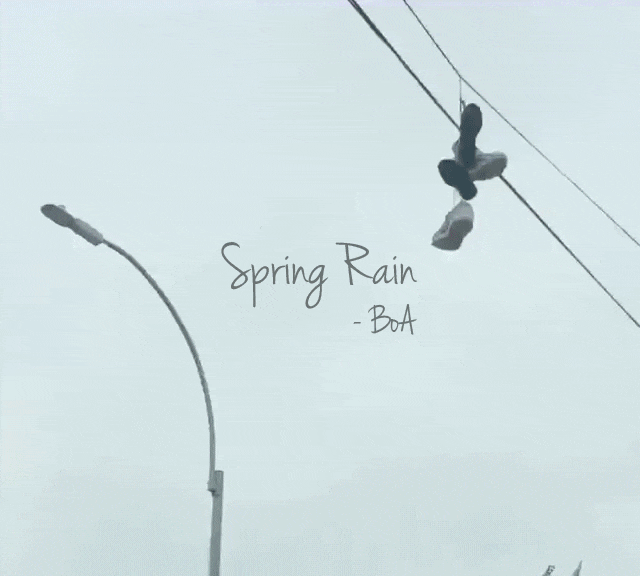 [170425] 보아(BoA) 봄비(Spring Rain) SM스테이션 티저 : 네이버 블로그
