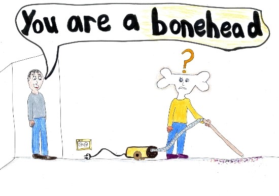 "A bonehead" : 네이버 블로그