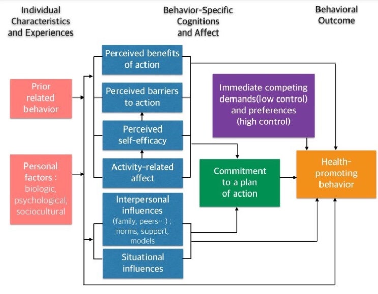 Pender s Health Promotion Model pender-s-health-promotion-model