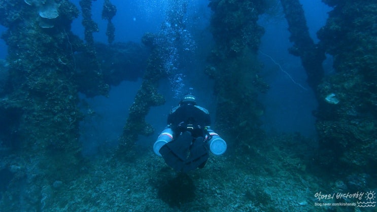 팔라우 다이빙 #11 이로마루 난파선다이빙 Iro Maru : 네이버 블로그