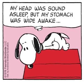 [일]04-30 야식 / be sound asleep, wide awake, sleeping pill, how in the ...