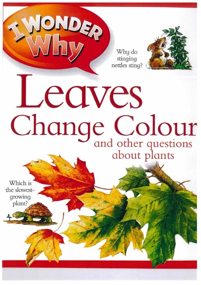 I Wonder Why Leaves Change Color : 네이버 블로그